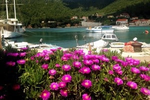 Slow Roads Croatia: Zuljana Peljesac | Explore Croatia With Frank